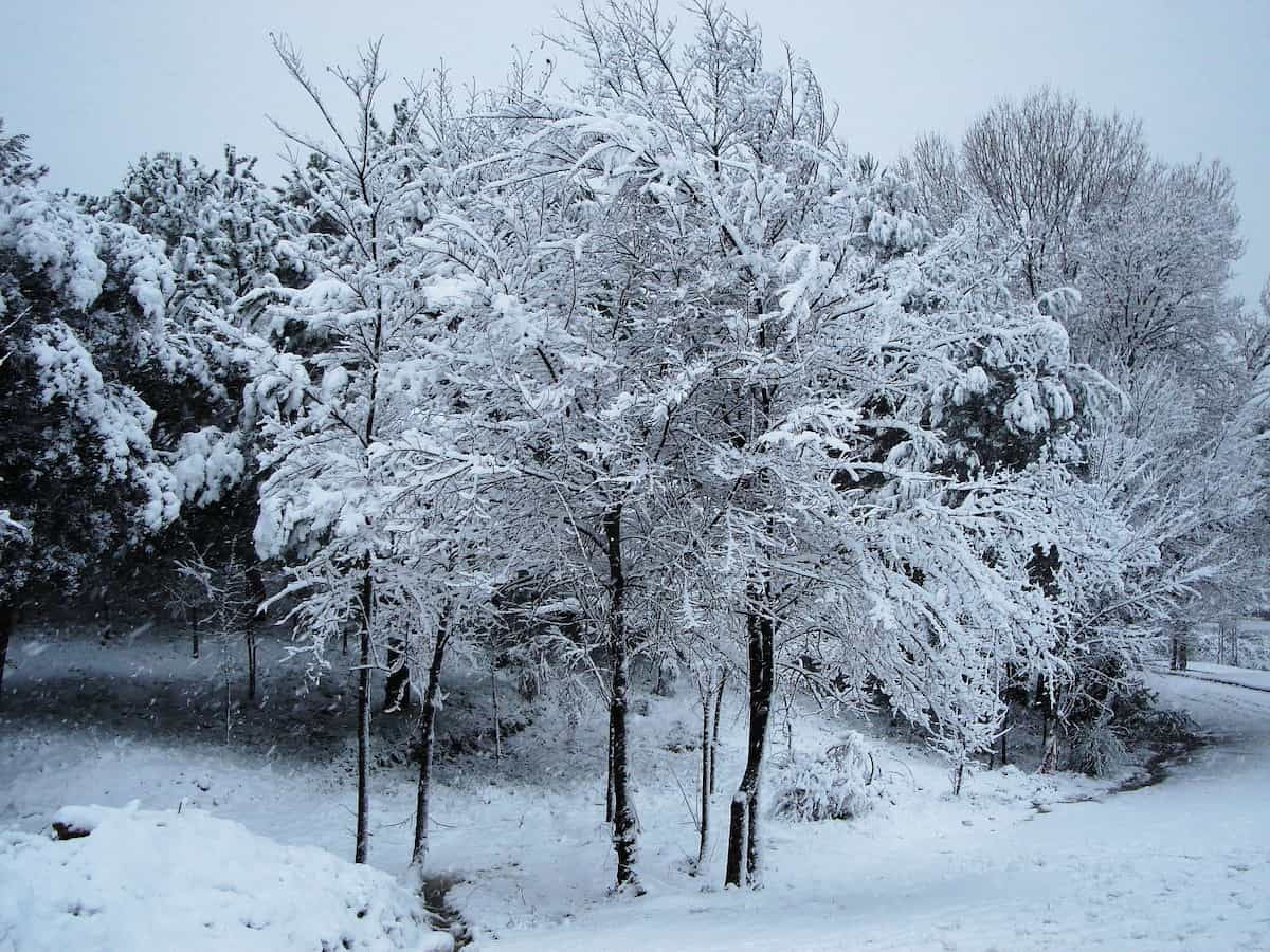 Does it Snow in Barcelona? Get the (Winter) Facts!