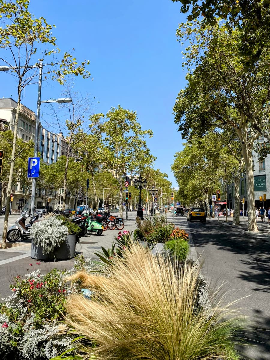 Gràcia, Barcelona: Ultimate Guide to a Gem of a Neighborhood